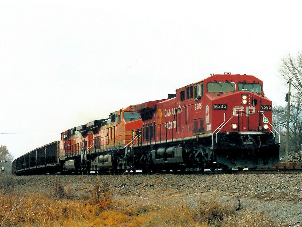 CP 9585